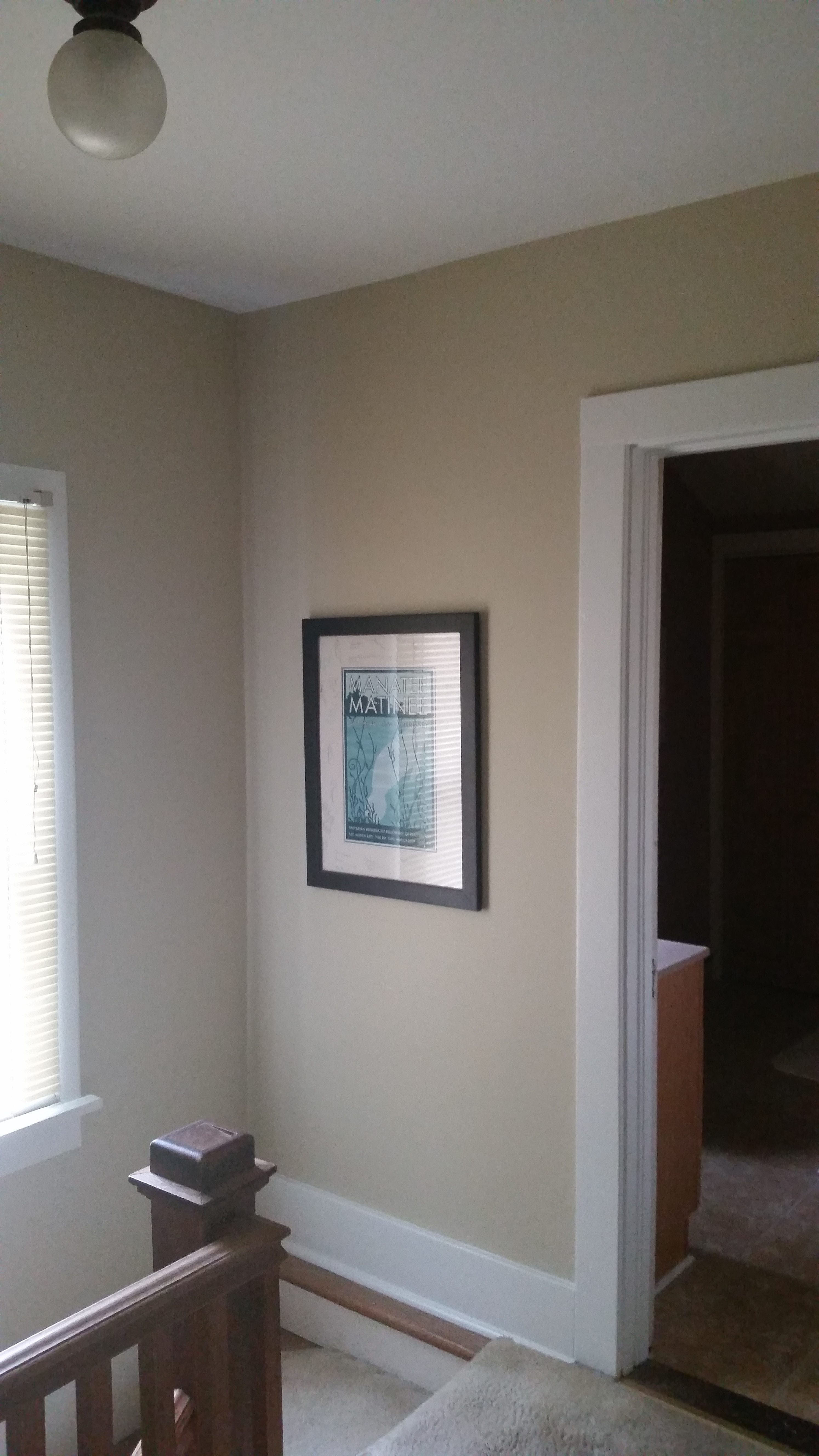 Ceiling, Wall and Trim Repaint – Mike Kalman Painting